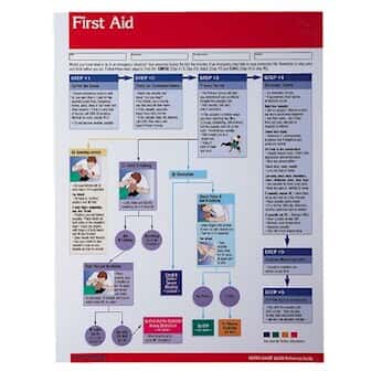 1-55080-586-X First Aid Wall Chart, laminated from Cole-Parmer Canada