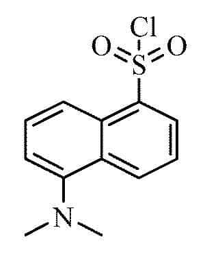 Acros Organics Dansyl Chloride, 98%; 1 g from Cole-Parmer
