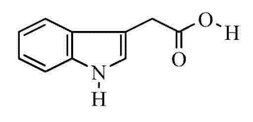Acros Organics AC122160250 1H-Indole-3-acetic acid 99+% (25g) from Cole ...