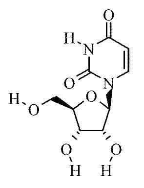 Acros Organics AC140770250 Uridine 99% (Uracil riboside), CAS 58-96-8 ...
