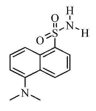Acros Organics AC204090010 Dansylamide 99% (1g) 8821817 from Cole-Parmer