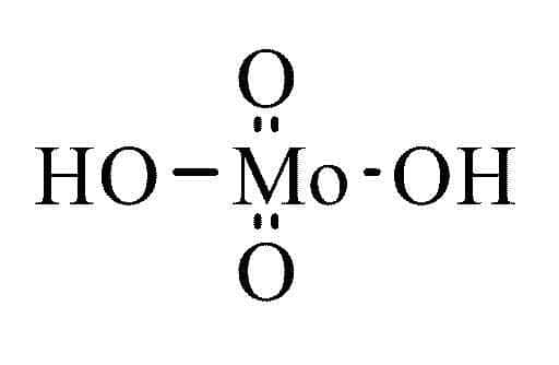 Acros Organics Molybdic Acid, p.a.; 100 g from Cole-Parmer