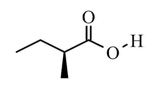 Acros Organics AC224190010 (S)-(+)-2-Methylbutyric acid 98% (1g) from ...