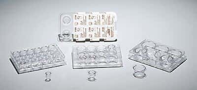BD Falcon Cell Culture Inserts, 1.0-µm pore size inserts, 24-well ...