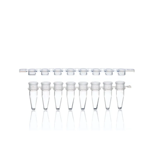 BRAND BIO-CERT® PCR 8-Strip Tube with Domed Cap, Polypropylene, Clear ...