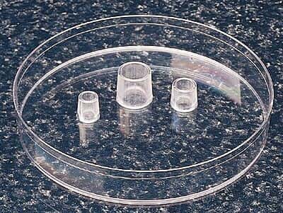 Optional Cloning Cylinders, polystyrene from Cole-Parmer