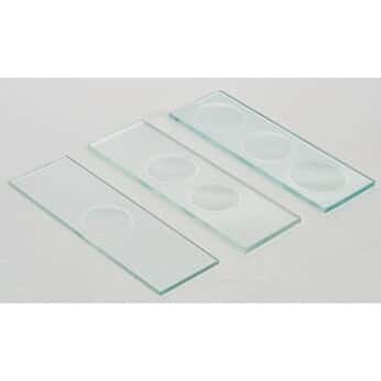 Cole-Parmer Concavity Microscope Slides, Glass, 1.3 mm Thick, 1 ...