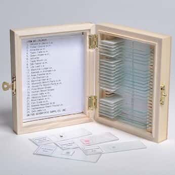 Cole-Parmer Prepared Microscope Slide Set, Basics, Set of 25 Slides; 1 ...