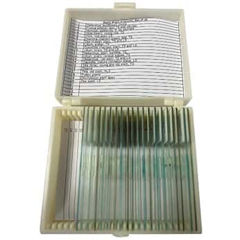 Cole-Parmer Prepared Microscope Slide Set, Basic Plant Anatomy, Set of ...