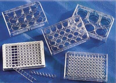 Costar 3524 24-well Multiple-well cell culture plates with lid, treated ...