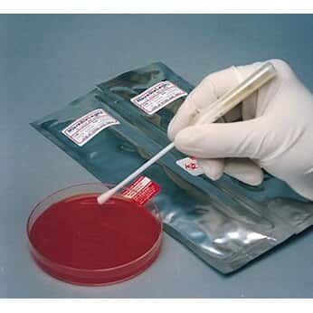 KWIK-STIK microorganism, Staphylococcus aureus, ATCC# 6538, 10/pk from ...