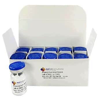 NSI Lab Solutions 61-00053 A. brasiliensis NCPF 2275 Pharmaceutical ...