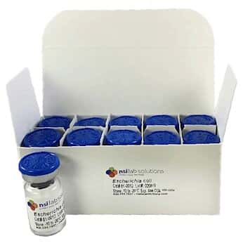 NSI Lab Solutions 61-0012 E. coli NCTC 12933 Pharmaceutical Culture ...