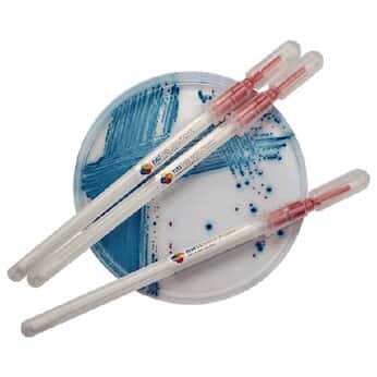 NSI Lab Solutions SS-6538-6 S. aureus Snap-Stick™ Swab; 6/PK from Cole ...