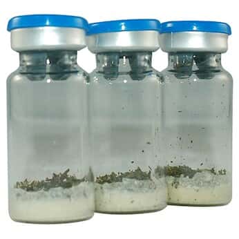 NSI Lab Solutions CMPT-047B Qualitative Filth/Extraneous Metals in Hemp ...