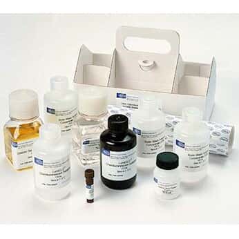 Pall Gelman Laboratory Random primer DNA biotinylation kit from Cole-Parmer