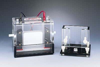 Thermo Scientific MP-12C 12-well comb for 0.8-mm gel thickness from ...