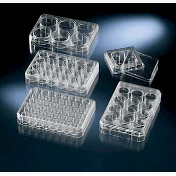 Thermo Scientific Nunc Cell Culture Multidishes, Non-Treated ...