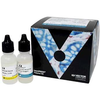 Vector Laboratories ImmPRESS HRP Anti-Mouse IgG Reagent, made in horse ...