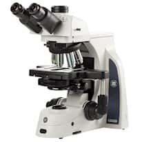 Compound Microscopes from Cole-Parmer