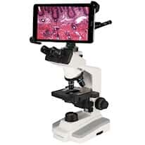 Compound Microscopes from Cole-Parmer