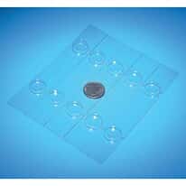 Cole-Parmer Microscope Slide with Well, Plastic, 3" x 1"; 10/Pk from ...
