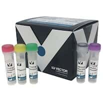 Vector Laboratories from Cole-Parmer