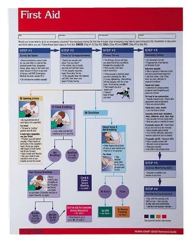 1-55080-586-X First Aid Wall Chart, laminated from Cole-Parmer Canada