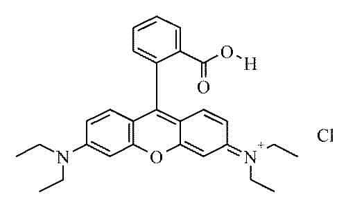 Acros Organics AC132311000 Rhodamine B (100g) rhodamine b CAS 81-88-9 ...