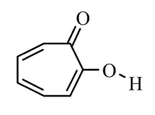 Acros Organics AC140580010 Tropolone 98% (1g) 8814352 from Cole-Parmer