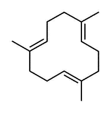 Acros Organics AC164390250 Trimethyl-1,5,9-cyclododecatriene, mixtureof ...
