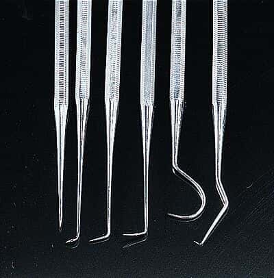 Cole-Parmer Stainless Steel Microprobe Set; Six 6" L Probes from Cole ...