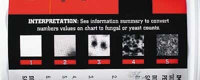 Cole-Parmer Microbial Test Kits, Yeast and Mold Test Kit from Cole-Parmer