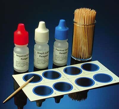 Latex test for Staphylococcus aureus from Cole-Parmer