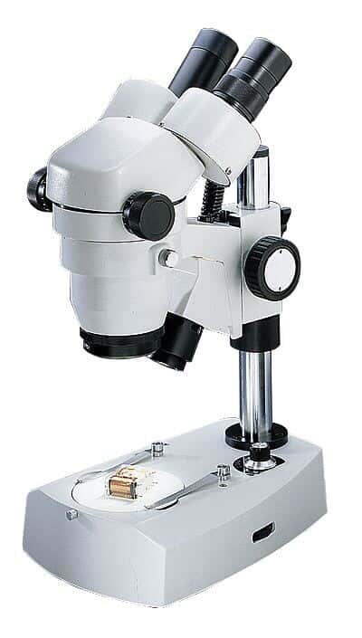 Cole-Parmer Binocular Stereozoom Microscope, 10x-40x, 115V from Cole ...