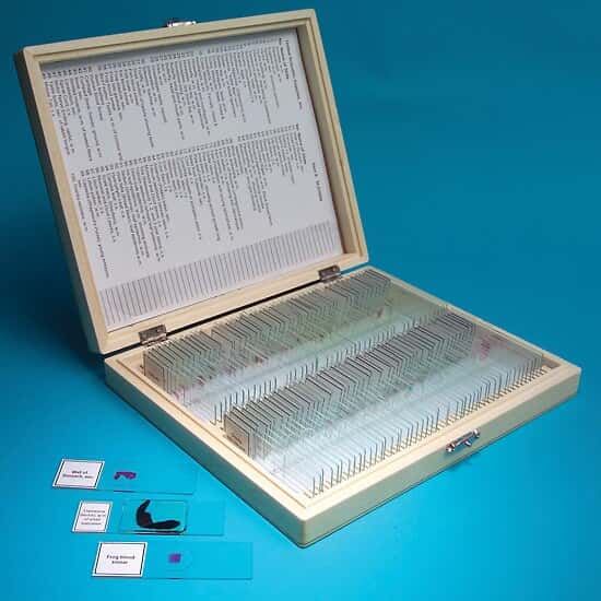 Cole-Parmer Prepared Microscope Slide Set, Biology, Set of 100 Slides ...