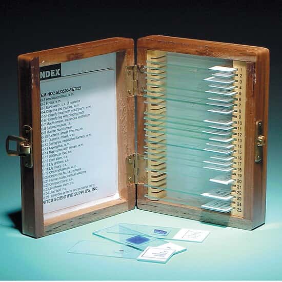 Cole-Parmer Prepared Microscope Slide Set, Biology, Set of 25 Slides; 1 ...