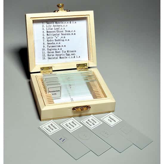 Cole-Parmer Prepared Microscope Slide Set, Biology, Set of 13 Slides; 1 ...