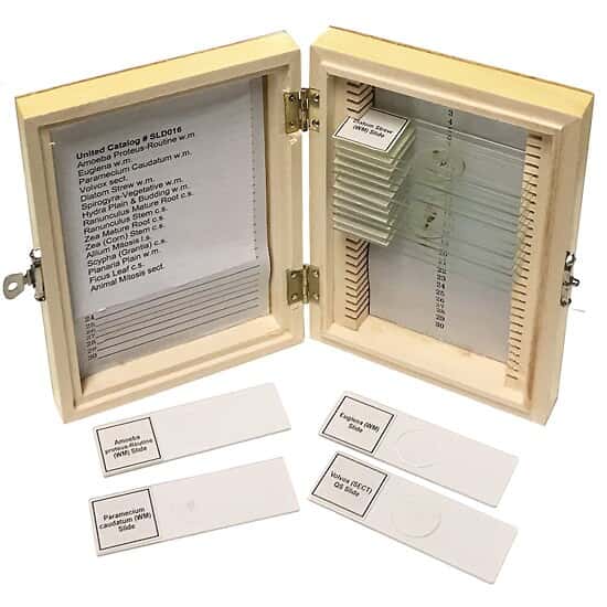 Cole-Parmer Prepared Microscope Slide Set, Biology, Set of 16 Slides; 1 ...