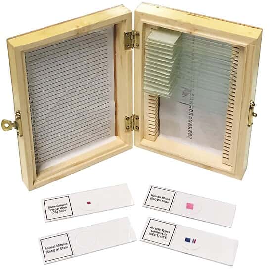 Cole-Parmer Prepared Microscope Slide Set, Biology, Set of 20 Slides; 1 ...
