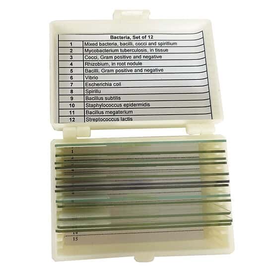 Cole-Parmer Prepared Microscope Slide Set, Bacteria, Set of 12 Slides ...