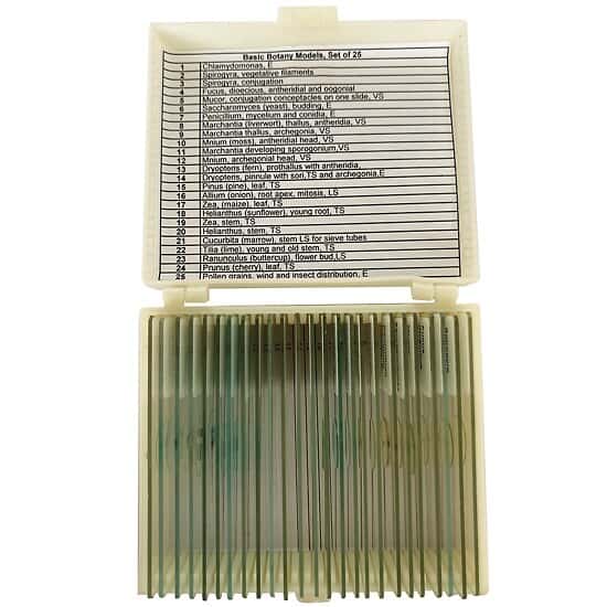 Cole-Parmer Prepared Microscope Slide Set, Basic Botany Models, Set of ...