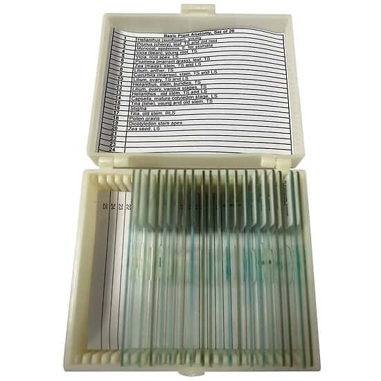 Cole-Parmer Prepared Microscope Slide Set, Basic Plant Anatomy, Set of ...