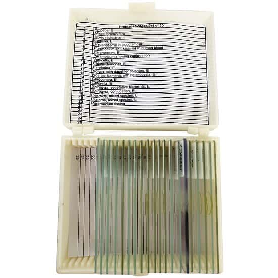 Cole-Parmer Prepared Microscope Slide Set, Protozoa and Algae, Set of ...