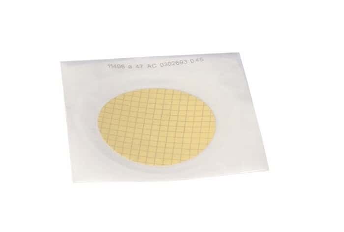Gridded Membrane Filters, Non-sterile, White/black, 0.8 Micron from ...