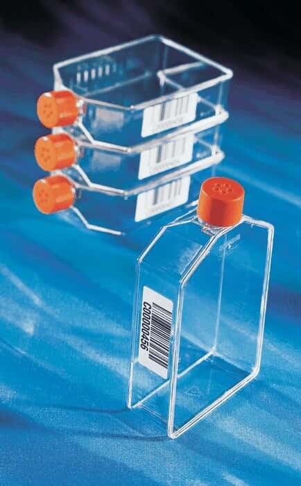 Corning 431306 Cell Culture Flask, 175cm2/Barcode/Angled Neck/Plug Cap ...