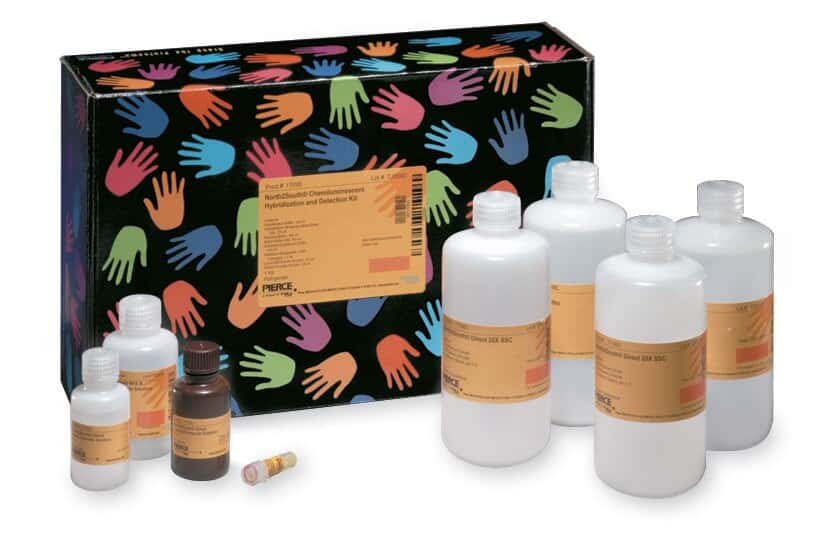 Life Technologies Direct Labeling and Detection Kit from Cole-Parmer
