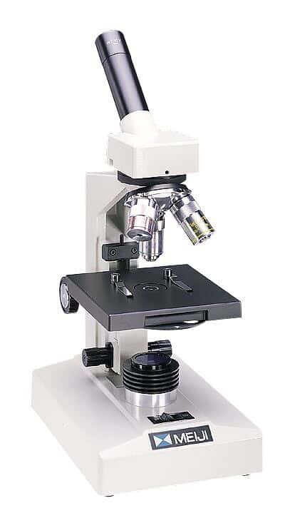 Meiji Techno TM-420 Compound Microscope with Achromatic Objectives ...