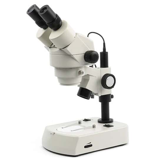 National Optical Professional Stereozoom Microscope, Binocular, Dual ...