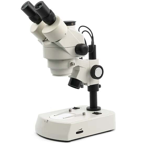 National Optical Professional Stereozoom Microscope, Trinocular, Dual ...